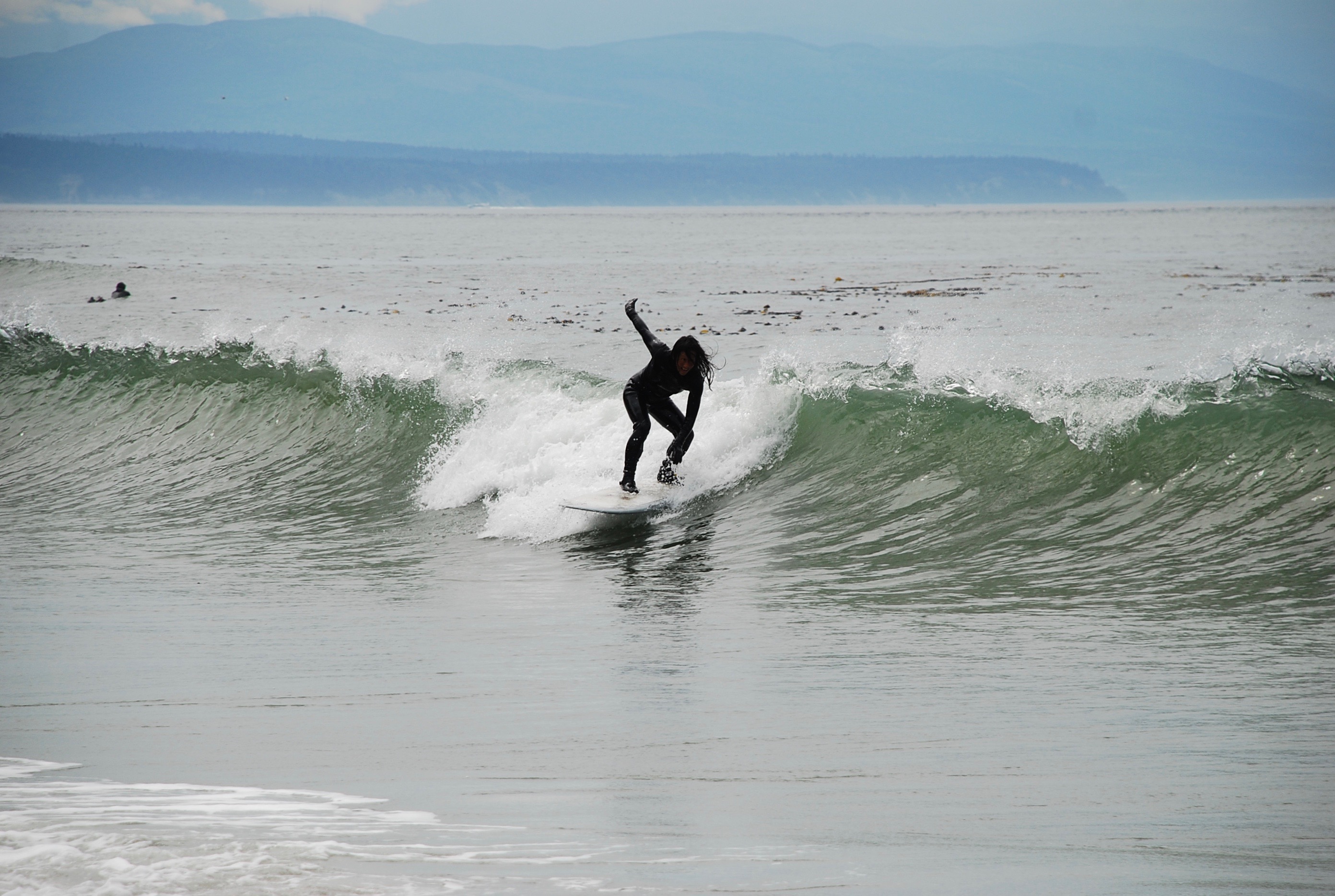 Fort Ebey | Oak Bay Starfish