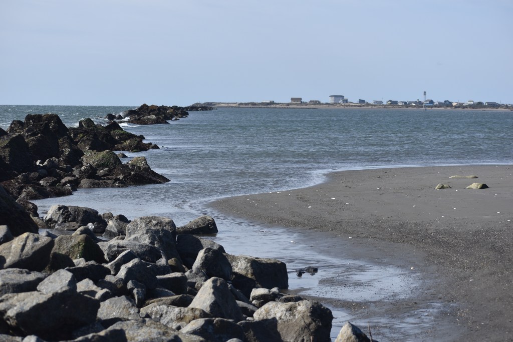 Damon Point – Coastal Erosion Attitudes | Oak Bay Starfish