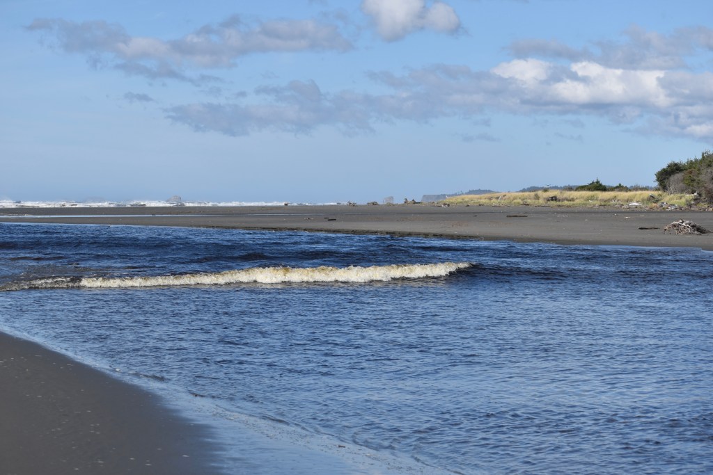 Moclips River meets the sea | Oak Bay Starfish
