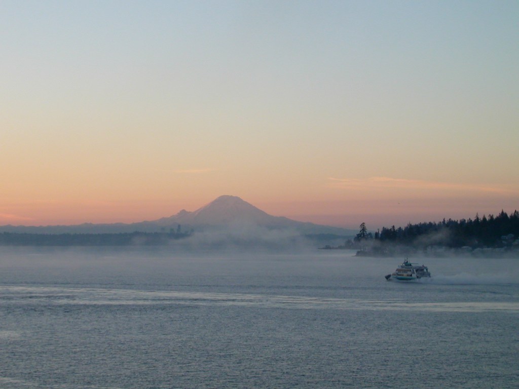 Puget Sound Ferry Terminal Security Update | Oak Bay Starfish