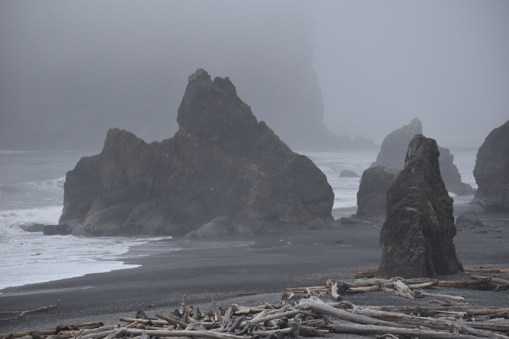 Ruby Beach | Oak Bay Starfish